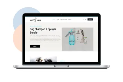 Best Web Development Services | Perfect Web Services